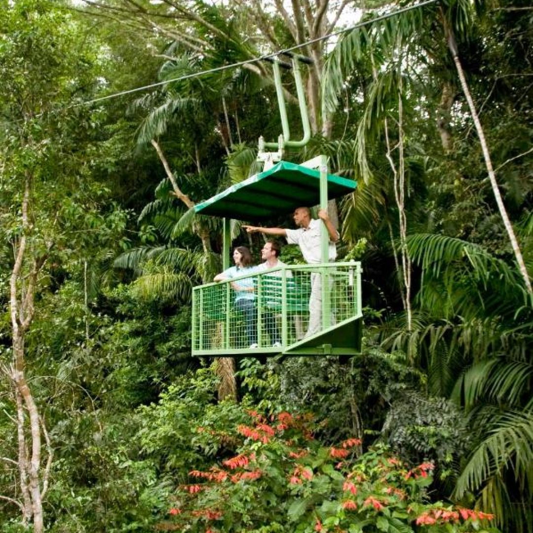 🏝️ Gamboa Rainforest Reserve, Panama, Sejur 7 Nopti - Let's Go Travel